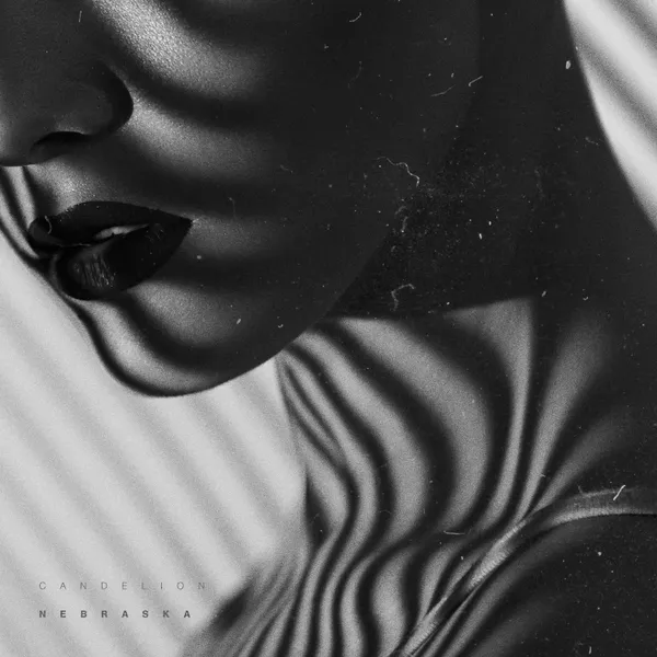 Release - Nebraska - Single by Candelion | Epidemic Sound