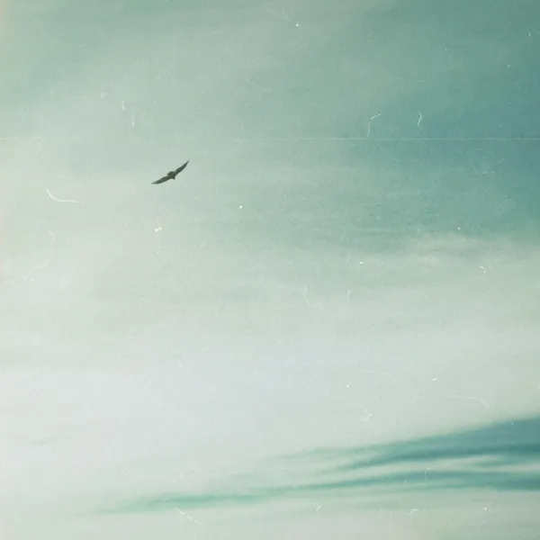Release - Sky Dweller - EP | Epidemic Sound