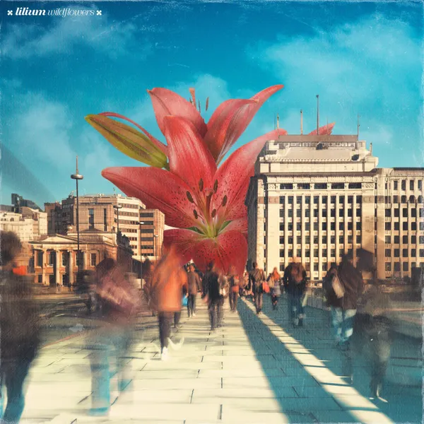 Release - Lilium - Single by Wildflowers | Epidemic Sound