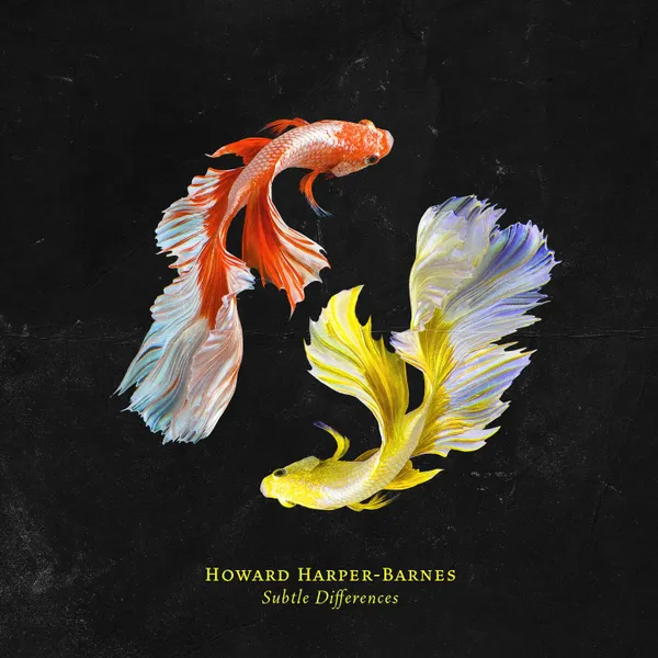 Release - Subtle Differences - EP | Epidemic Sound