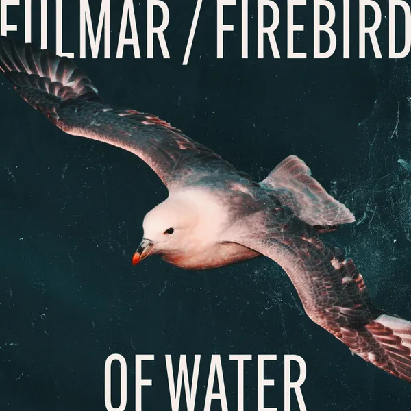 Release - Fulmar / Firebird - Single | Epidemic Sound