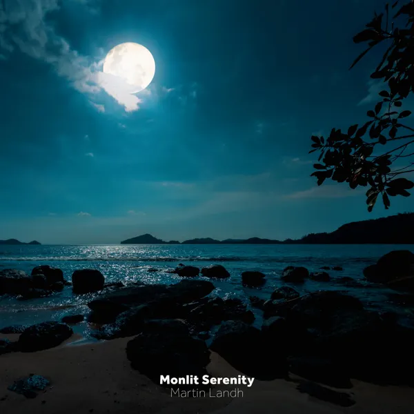 Release - Moonlit Serenity - Single | Epidemic Sound