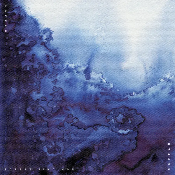 Release - Forest Findings - Single | Epidemic Sound