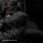 Music by Harper Rey | Epidemic Sound