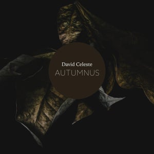 David Celeste - Now and Then | Epidemic Sound