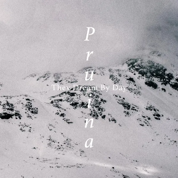 Release - Pruina - Single | Epidemic Sound