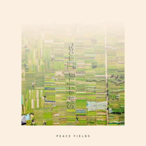 Release - Peace Fields - Album | Epidemic Sound