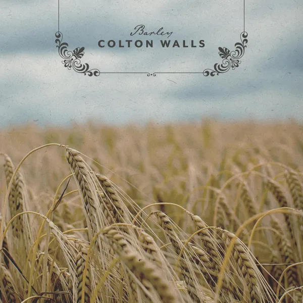 Release - Barley - Album | Epidemic Sound