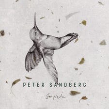 Music by Peter Sandberg | Epidemic Sound