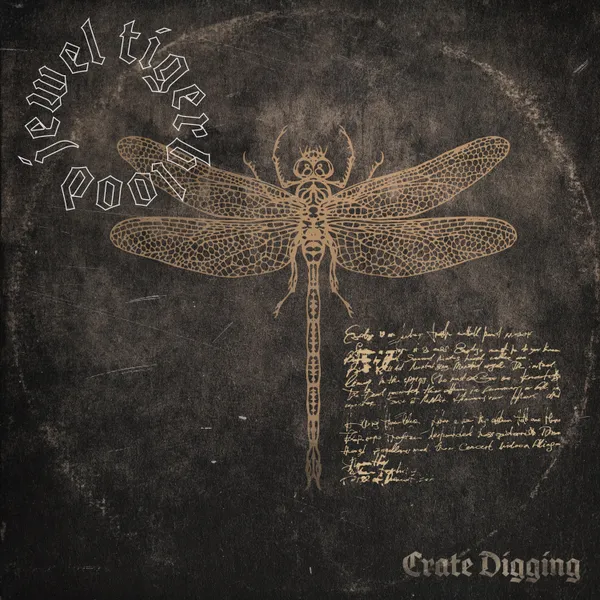 Release - Crate Digging - Single | Epidemic Sound