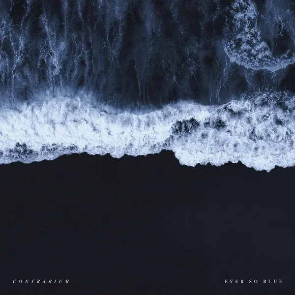 Release - Contrarium - Single | Epidemic Sound