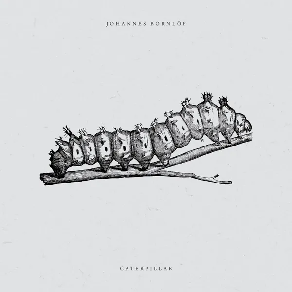 Release - Caterpillar - Single | Epidemic Sound