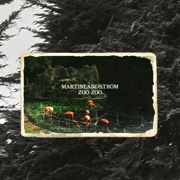 Release - Zoo Zoo - Album | Epidemic Sound