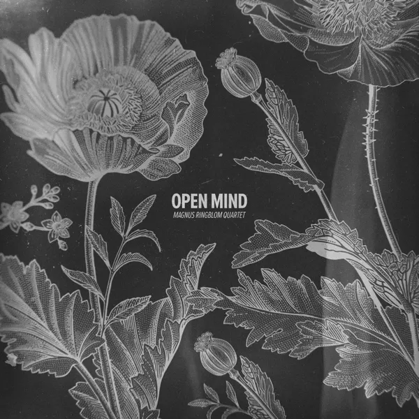 Release - Open Mind - Single | Epidemic Sound