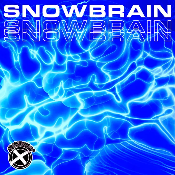 Release - Snowbrain - Single | Epidemic Sound