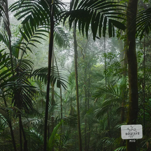 Release - Mio - Single | Epidemic Sound