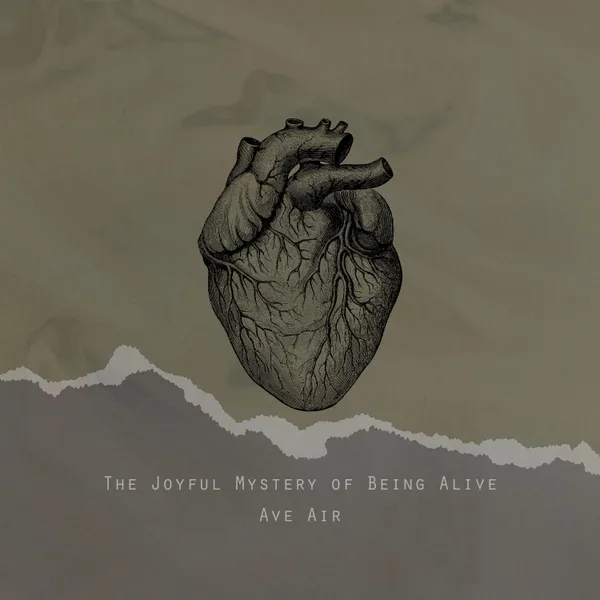 Release - The Joyful Mystery of Being Alive - Single | Epidemic Sound