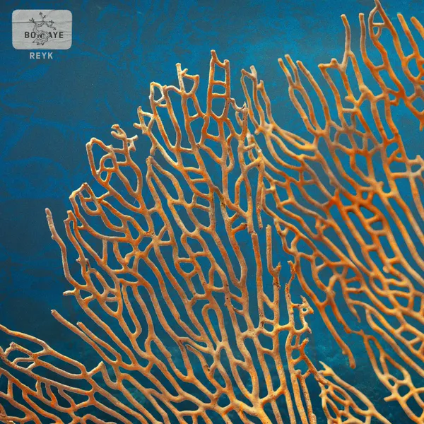 Release - Reyk - Single | Epidemic Sound