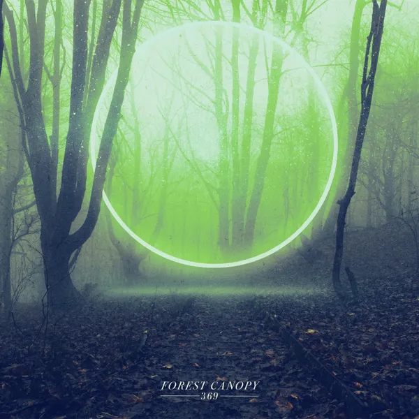 Release - Forest Canopy - EP | Epidemic Sound