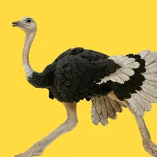 Music by Jules Gaia | Epidemic Sound